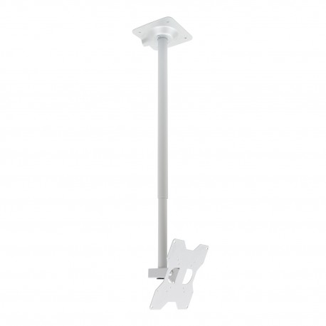 100459 tilting and swivelling ceiling mount
