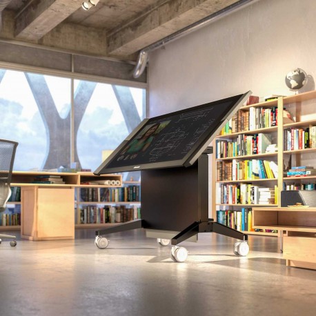 SALAMANDER Motorised mobile stand - FPS2/EL/GG - ERARD PRO